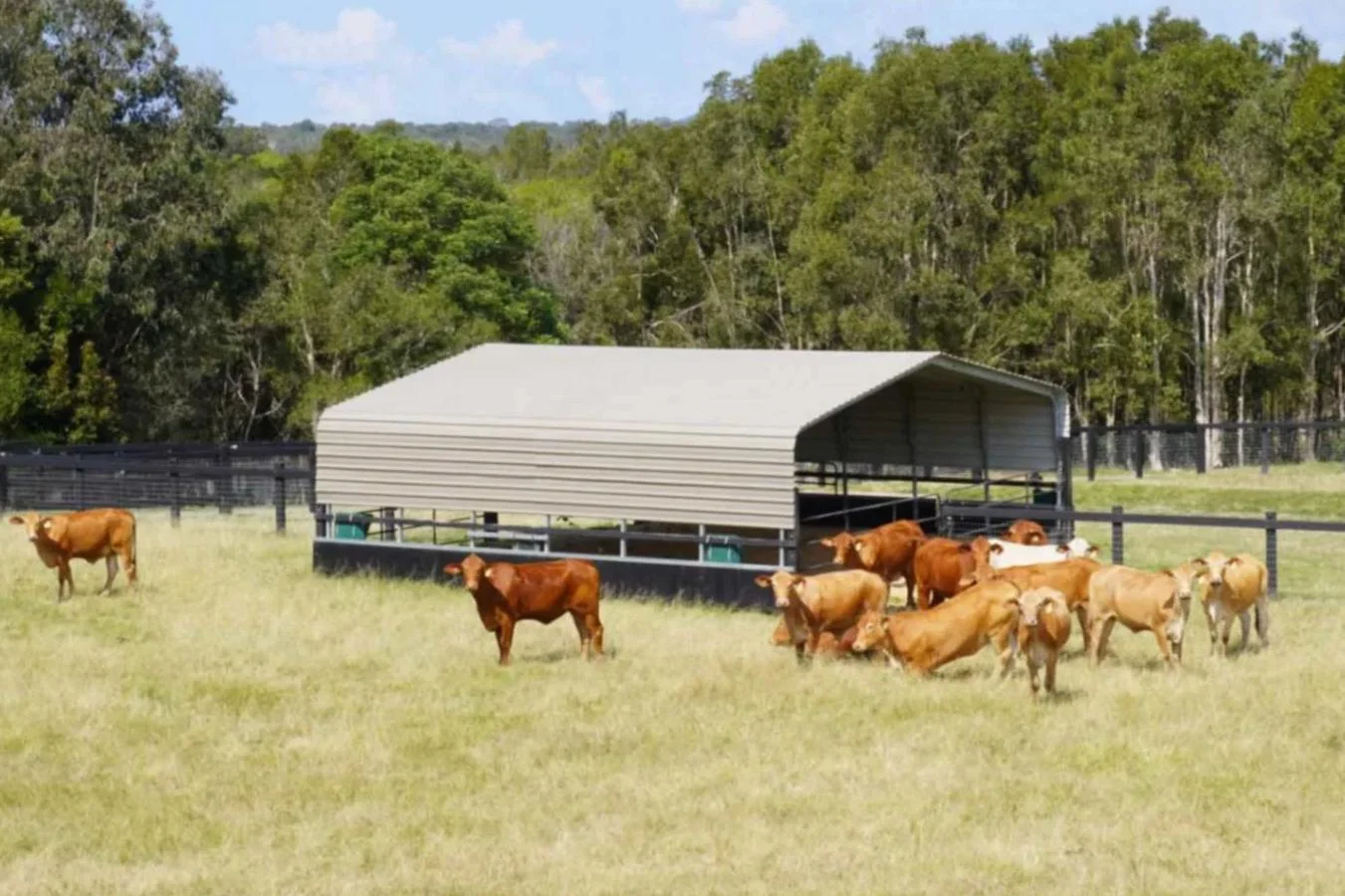 Transportable Shade Sheds: A Versatile, Australian-Made Solution