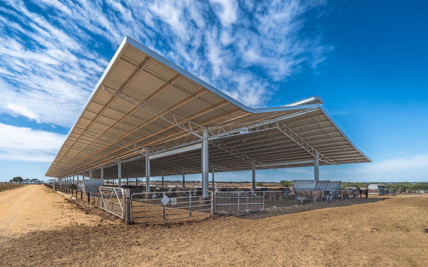 WideSpan Sheds -18 to 60 metre Clear Span Sheds